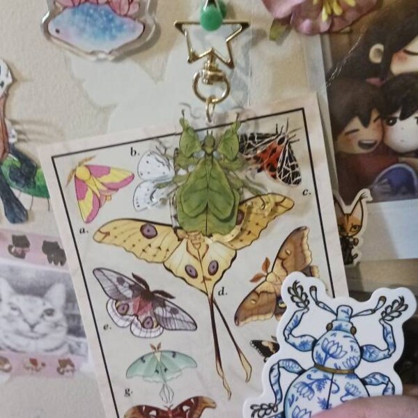 Leafbug Charm | 2" Insect Keychain - Etsy