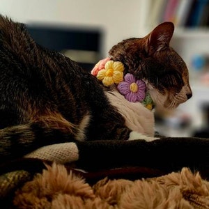 Adjustable Cute Crochet Soft Ribbon Kitten Collar Pet Costume Cat ...