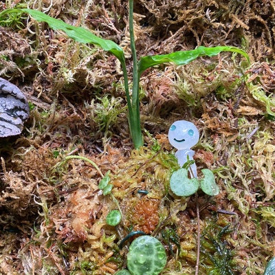 Scuba Diver Miniature Diving Ocean Scenery Sea Human Model Underwater ...