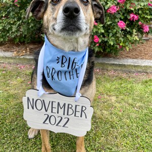 Favor Sign for Dog Themed or Puppy Theme Birthday Party | Etsy