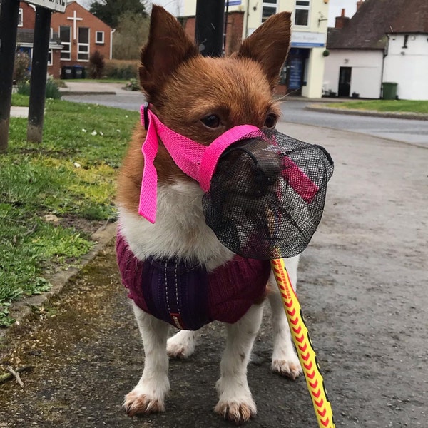 Smuzzle: A Soft Muzzle That Lets Your Dog Smile - Etsy