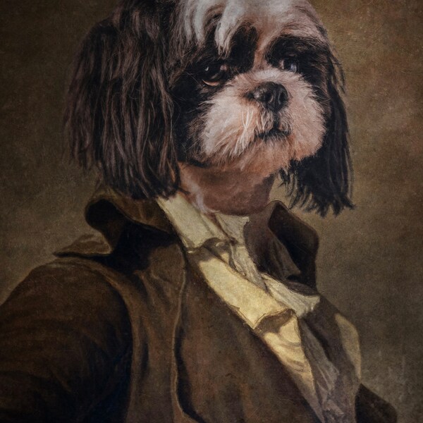 Pet Portrait Background,photoshop Digital Backgrounds, Template, Pet ...