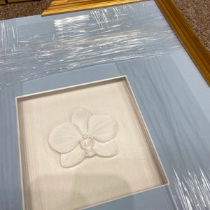 Botanical Intaglio Art on 5X7 or 6X6 Canvas, Plaster Medallions of ...