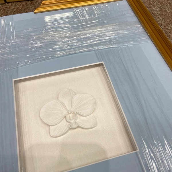 Coastal Intaglio Art on 6X6 or 5X7 Canvas, Coral, Shells or Sand Dollar ...