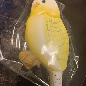 Parakeet Cookies, Bird Cookies - Etsy