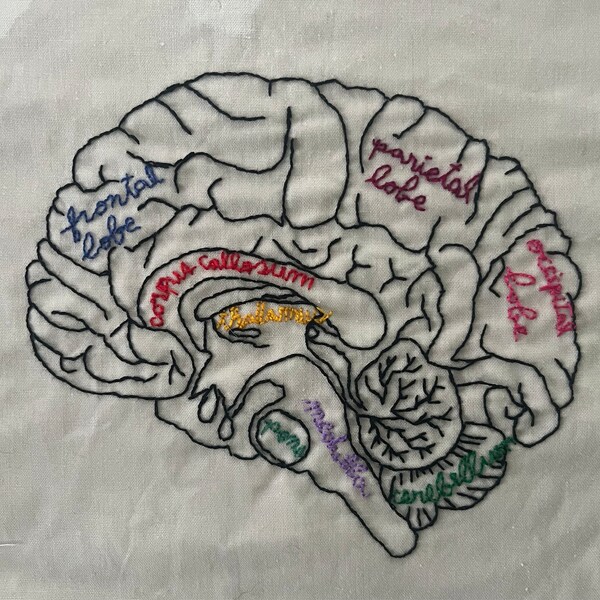 DIY Brain Embroidery Pattern, Brain Anatomy Embroidery Pattern ...