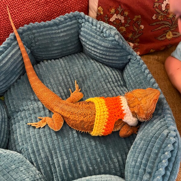 Rat Dress for Rat Crochet Dress for Pet Rat Sweater for Fancy Rat ...