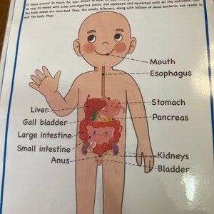 Winter Popsicle Sticks Mats Printable Christmas Activities for Kids ...