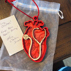 Anatomical Heart Christmas Ornaments Cardiology cardiologist Ornament ...