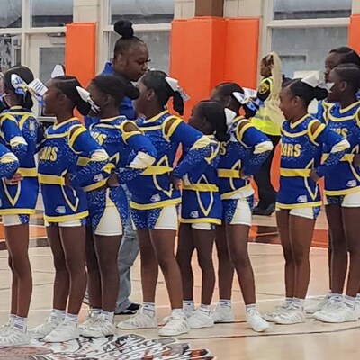 20 Color Bundle Paw Swoosh Cheer Bow Graphic Digital Download ...