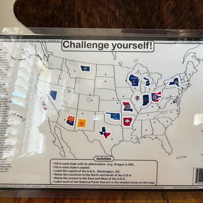 Pandemic Time Capsule Sticker Sheet Life During Covid Journal Stickers ...