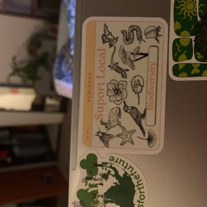 Support Local Biodiversity Environmental Preservation Original Art ...