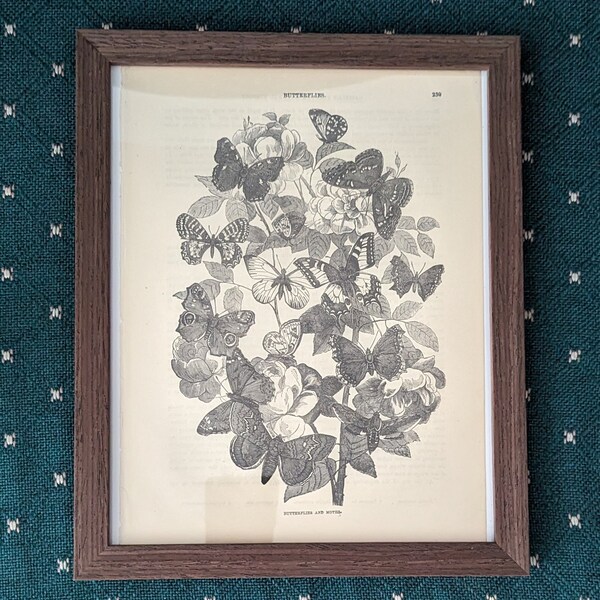 Superficial and Deep Muscles in the Back / Human Anatomy - Descriptive ...