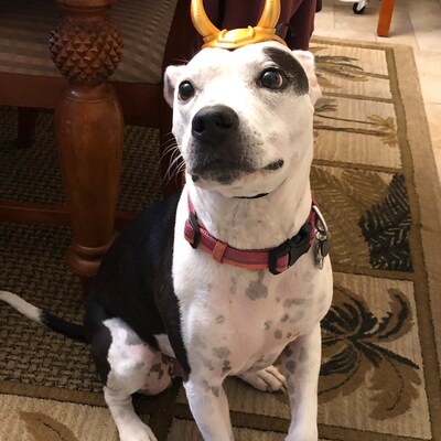 Joel & Sarah Family Photos 9 the Last of Us 1 2 - Etsy