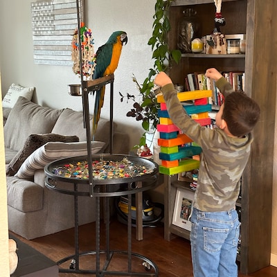 Macaw Ladder, Large Bird Toy - Etsy