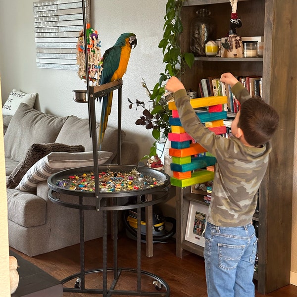 Macaw Ladder, Large Bird Toy - Etsy