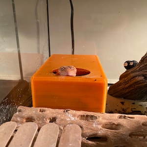 Leopard Gecko Moist Hide / Lay Box - Etsy