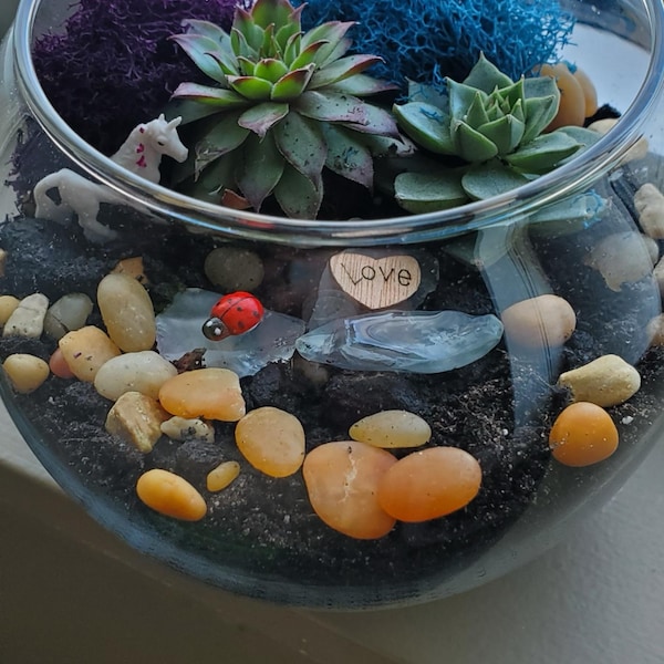 Rainbow Succulent Terrarium Kit, Rainbow Planter, Terrarium Kit, Cactus ...