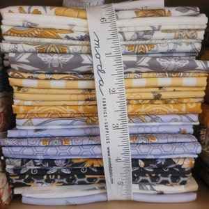 Verbena Roses Chambray by Jen Hewett With Ruby Star Society for Moda ...