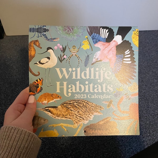 Recycled British Wildlife Habitats Calendar 2026 | Illustrated Daily ...