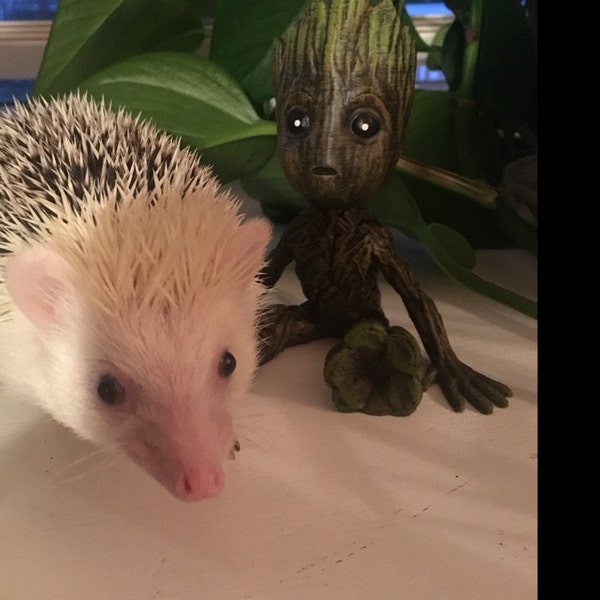 Cute 3D Printed Baby Groot Avengers Infinity War Marvel Guardians of ...