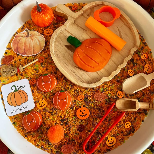 Story Stones Autumn Seasons Educational Stones Teaching Resources EYFS ...