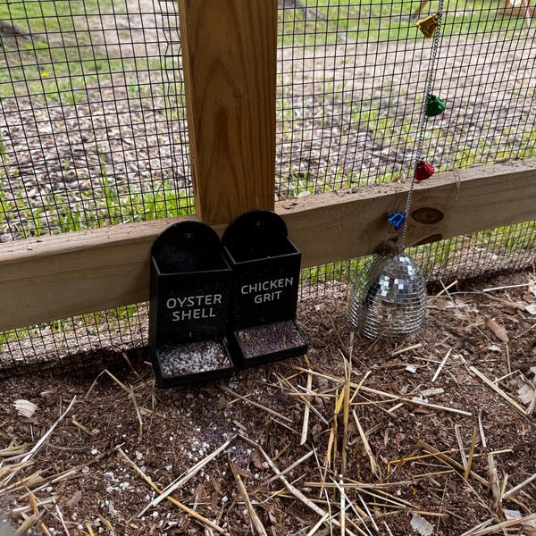 Chicken Oyster Shell/grit Feeder – 3D Printed, Mess-free Design for ...