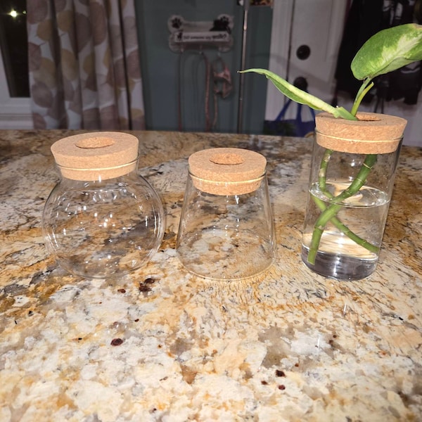 Propagation Jar Hydroponic Vase Cork Lid Plant Terrarium - Etsy