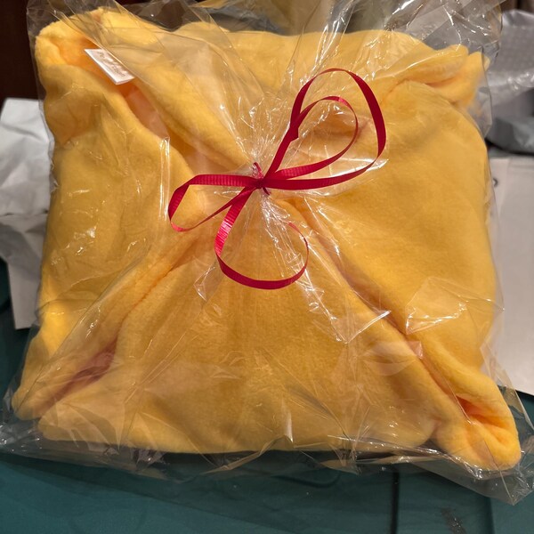Pasta Pillow, Tortellini Pillow, Farfalle Pillow, Ravioli Pillow - Etsy