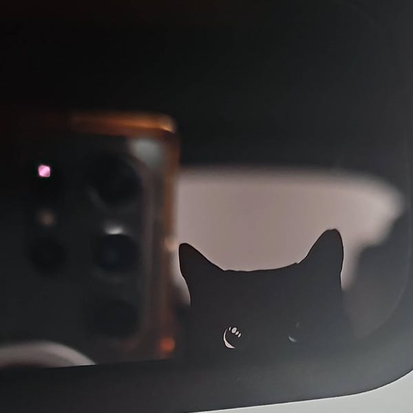 Cat Peeker Decal, Car Decal, Black Cat Peeker Sticker, Blank Button ...