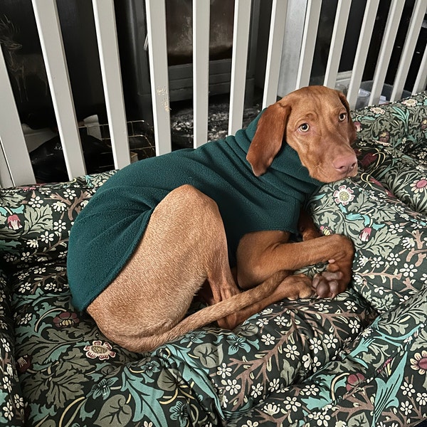 Dog Fleece Polo PDF Sewing Pattern Sizes XXS to 3XL (8 Sizes) Instant ...