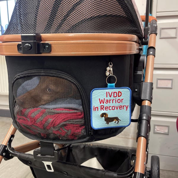 Handmade Inspired Moana Polynesian Characters Face Mask - Etsy