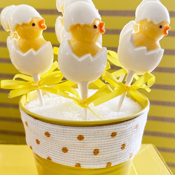 Adorable Baby Chicks in Eggs Lollipops Suckers Party Favors - Etsy