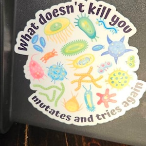 Crime Scene Kitties, Forensics Cat Stickers, Crime Scene Technician ...