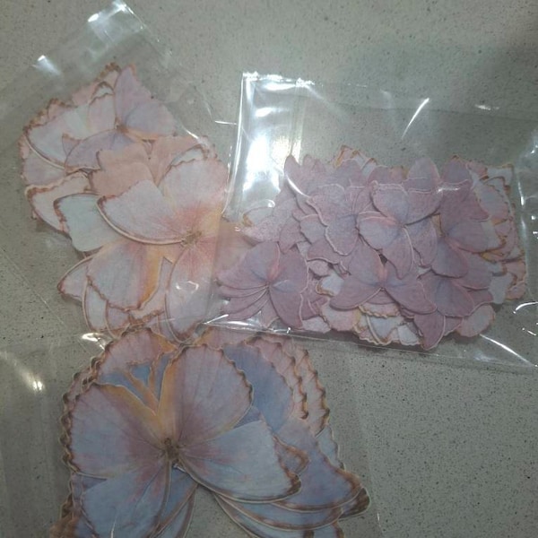 Pre-cut Edible Wafer Paper Butterfly Pastel Rainbow Wafer Butterfly ...