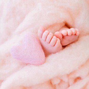New Color Baby Pastel Blush Pink Felted Wool Hearts Heart - Etsy
