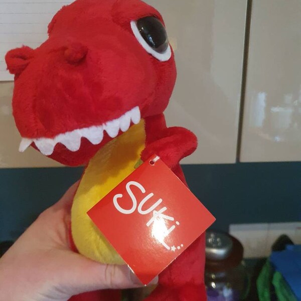 Personalised T-rex Dinosaur Soft Toy - Etsy