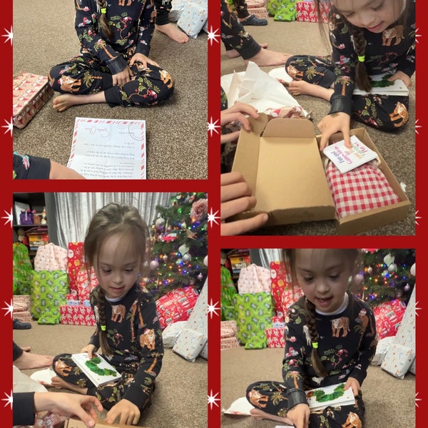 Super-realistic the Very Hungry Caterpillar Play and Learn Set With ...