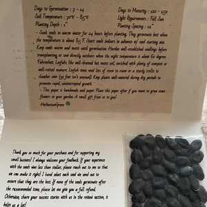 35 Organic Loofah Seeds Luffa Edible Squash Sponge Harvest Non-gmo ...