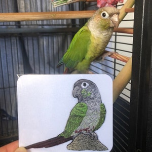 Peregrine Falconer Falconry Birds of Prey Embroidered | Etsy