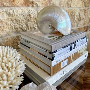 Shell Box Seashell Ring Box Beach Wedding Pill Box | Etsy