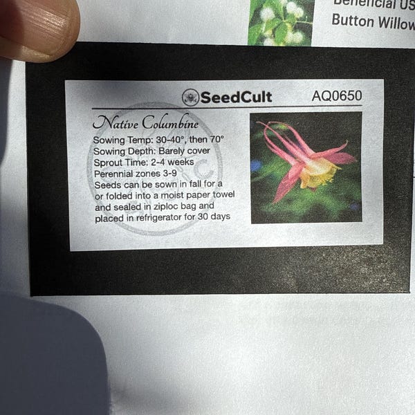 Native Wild Columbine Seeds, Flowering Shade Perennial, Aquilegia ...