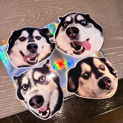 Garba Sticker Pack Navratri Stickers Waterproof Water Bottle Sticker ...