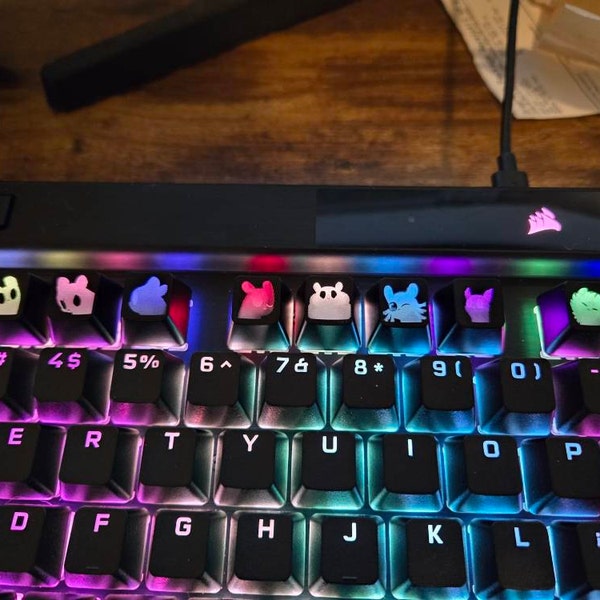 Rainworld Keycap Set, Backlit (4) - Etsy