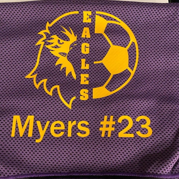 Lions Den Baseball Softball, Lions, Lions Logo, Lions SVG, Softball SVG ...