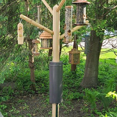 Bird Feeder Pole Bird Feeder Post Our Best Bird Attracting Bird Feeding ...