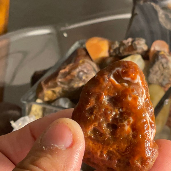 10lbs Assorted Bulk PNW River Rocks - Gardening, Landscaping, Decor - Etsy