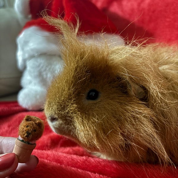 Mini Mole Collectible Gift, Needle Felted Handmade Decoration, Ornament ...