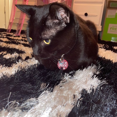 Yoto Card Stand Wooden Board Stand Wooden Card Stand Affirmation Sign ...