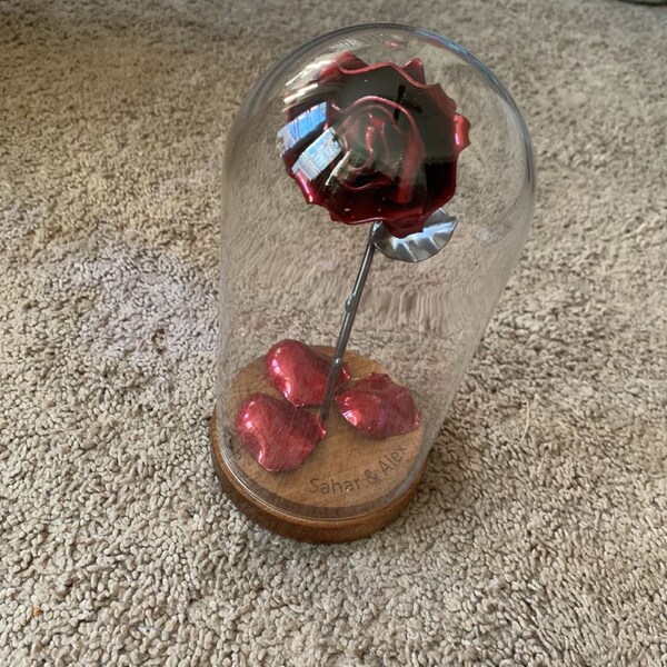 Beauty and the Beast Rose With Fallen Petals in Glass Dome on Wooden ...